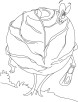 Cartoon cabbage coloring page