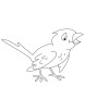 Peep And Chirp Coloring Pages Coloring Pages