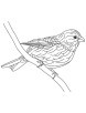 Japanese bird coloring page | Download Free Japanese bird coloring page ...