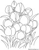 Tulip Coloring Pages | Download Free Tulip Coloring Pages for kids ...